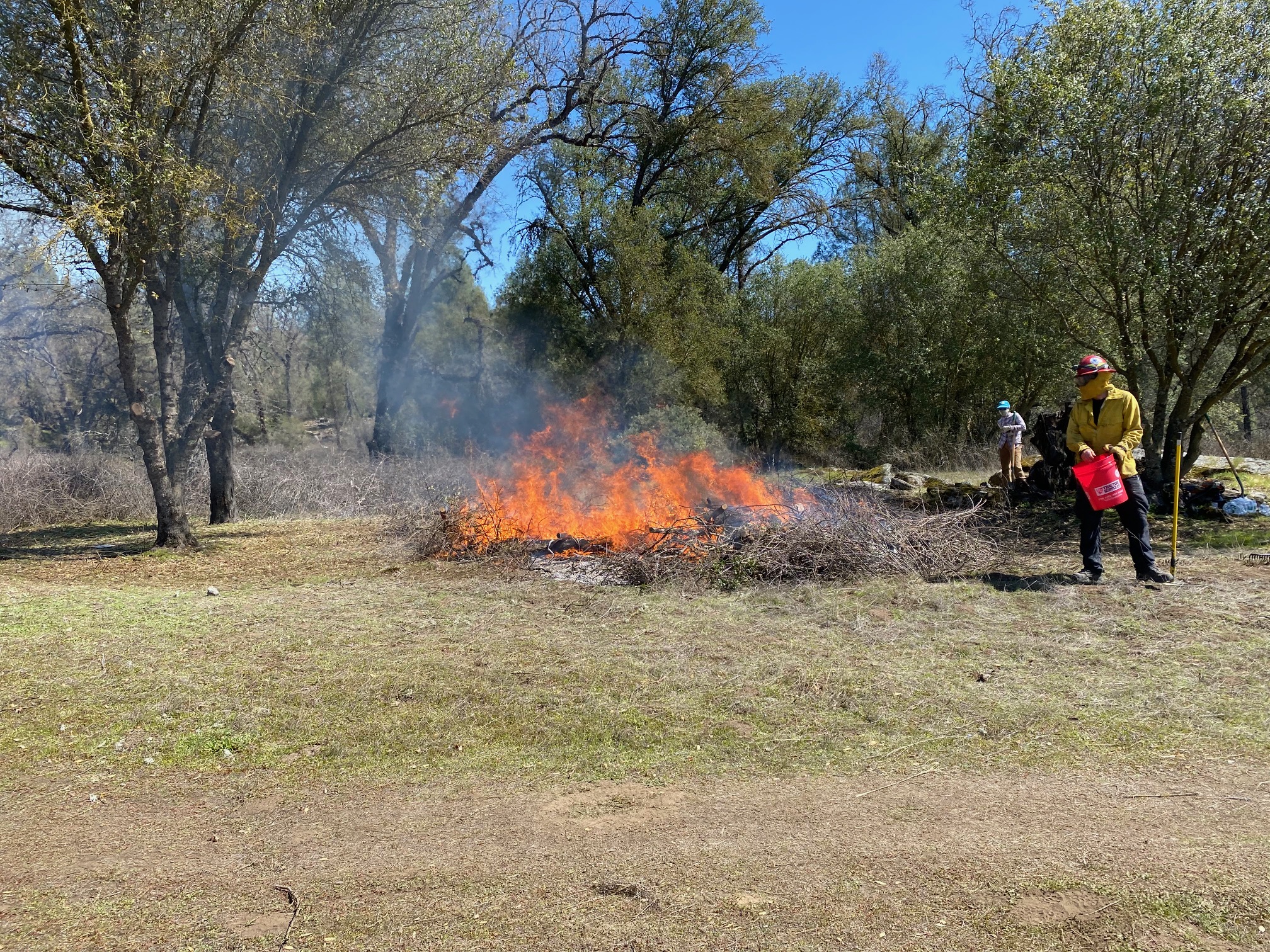 Revitalizing Indigenous Cultural Burning Through Knowledge Sharing ...