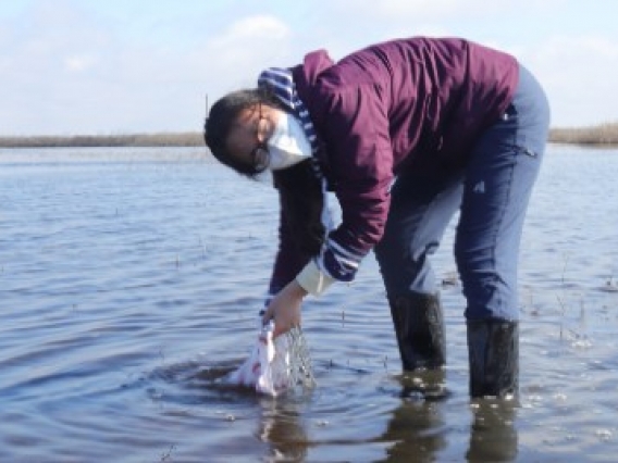 Learning from Interdisciplinary Collaboration | Southwest Climate ...