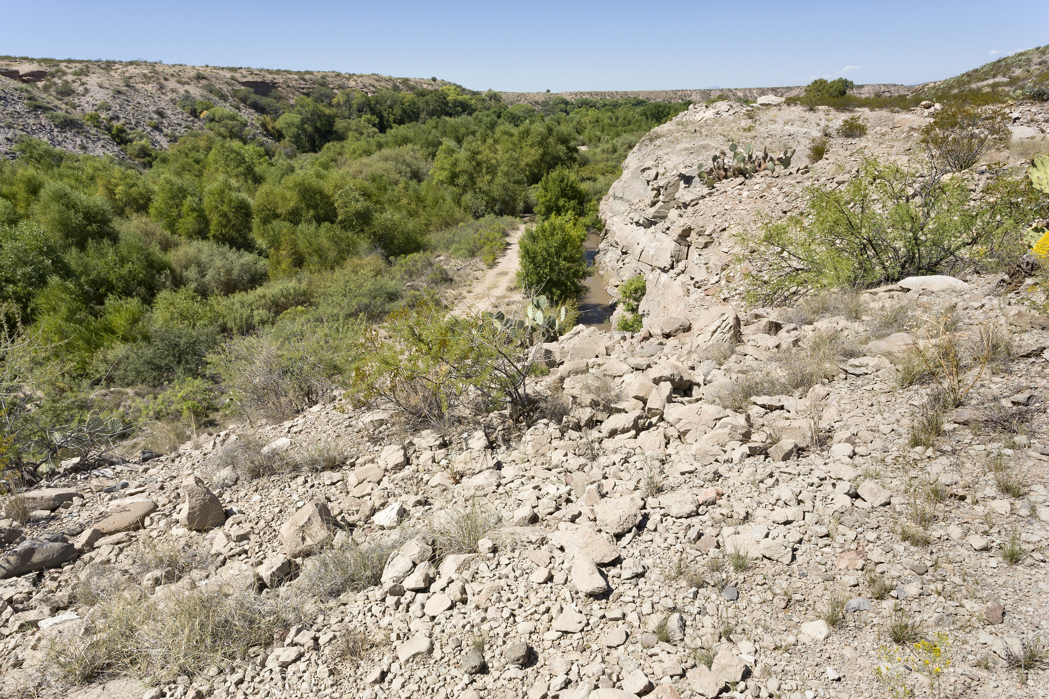 Riparian Vegetation Restoration in the Upper Gila River Watershed ...